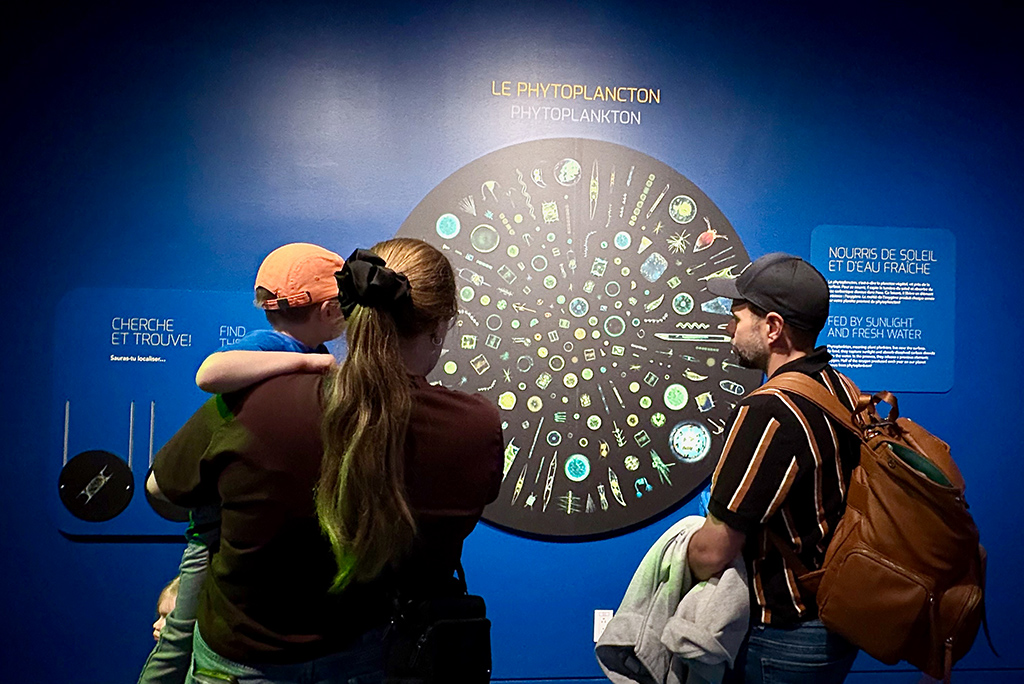 Plankton Odyssey - CREO - Cultural